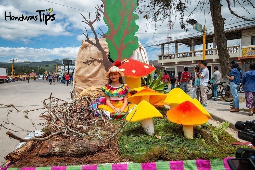Inicia la temporada del choro: el hongo más famoso de Intibucá