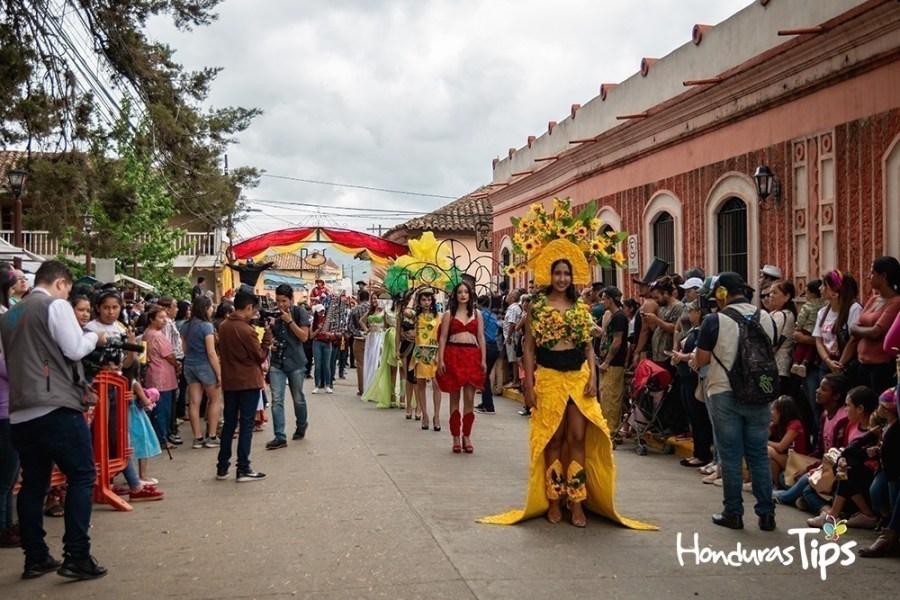 Inicia la temporada del choro: el hongo más famoso de Intibucá
