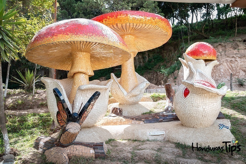 Inicia la temporada del choro: el hongo más famoso de Intibucá