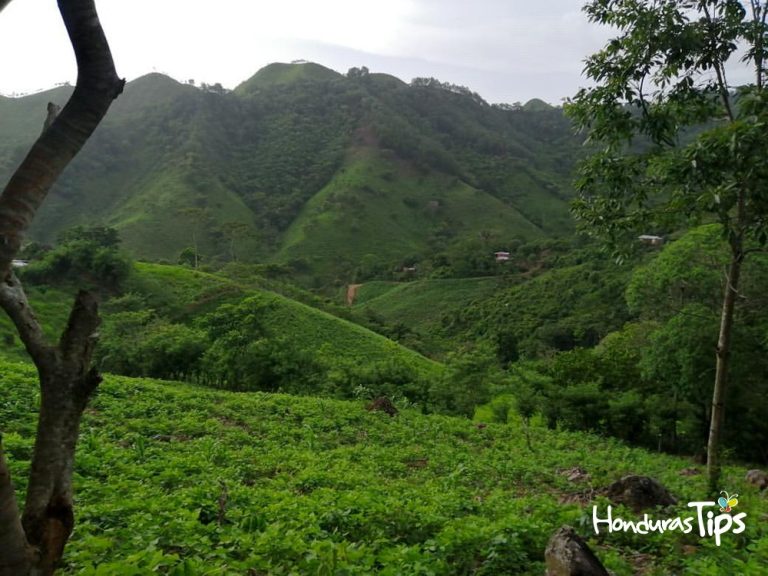 Conozca la fascinante belleza natural que hereda Patuca, Olancho
