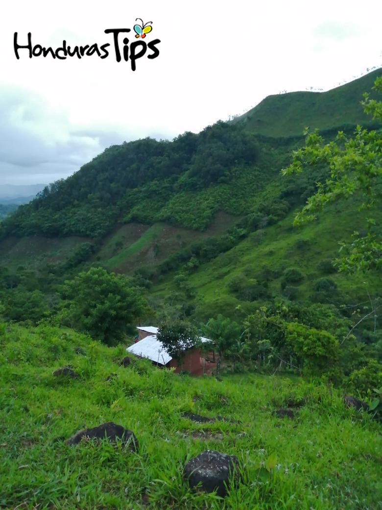 Conozca la fascinante belleza natural que hereda Patuca, Olancho