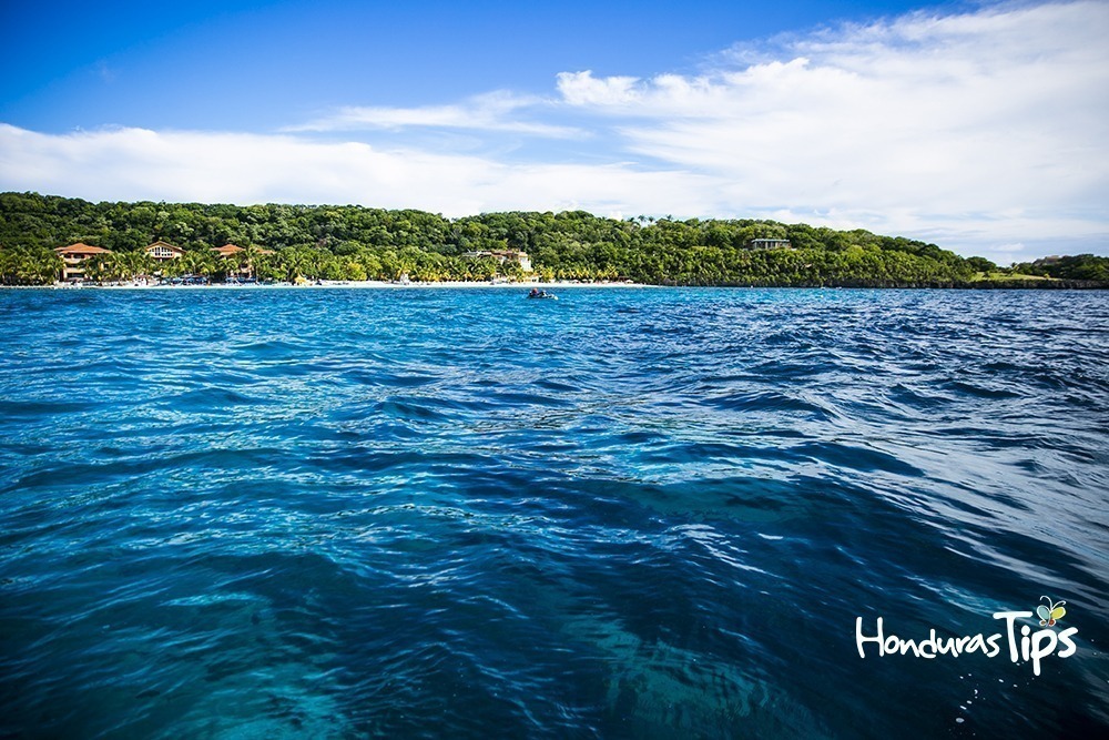 Bolavip destaca a Roatán entre los 29 destinos más visitados del mundo