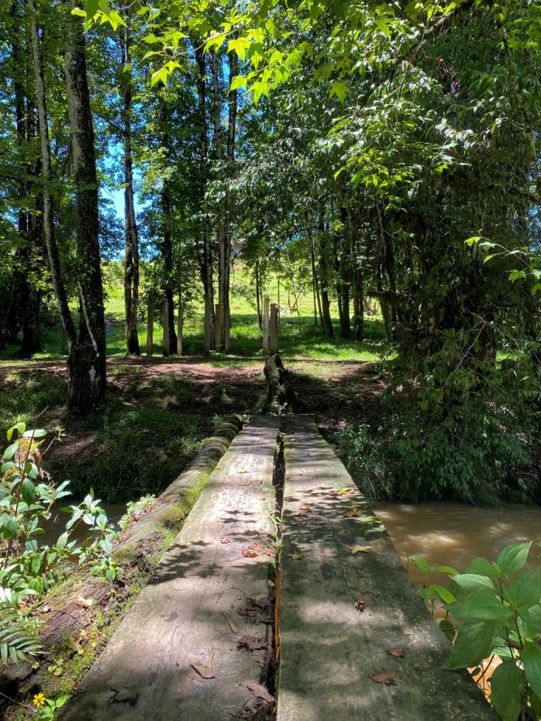 Cascada Río Grande: una maravilla por conocer en Intibucá