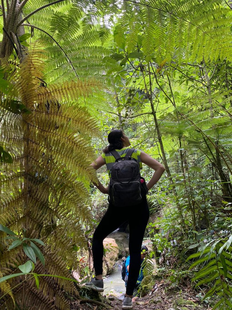 Cascada Río Grande: una maravilla por conocer en Intibucá