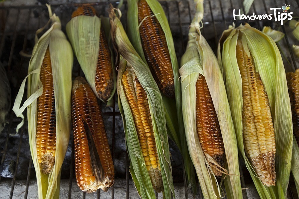 Ruta del Maíz: los destinos hondureños que ofrecen delicias a base de maíz