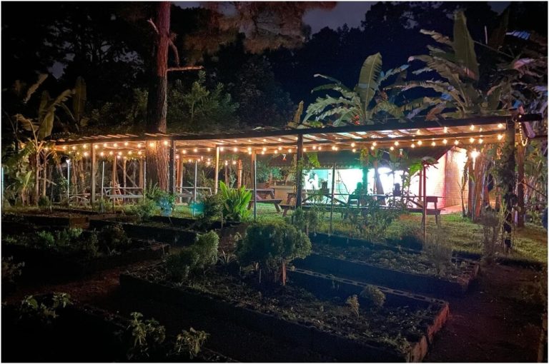 Finca El Colibrí: un destino que le hará amar la naturaleza hondureña