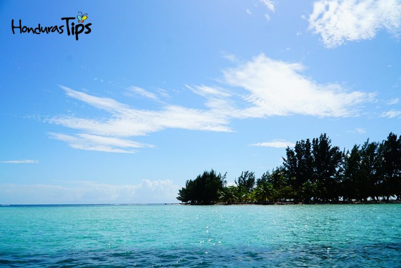 Estas son las playas de aguas cristalinas de Utila; son una maravilla ...
