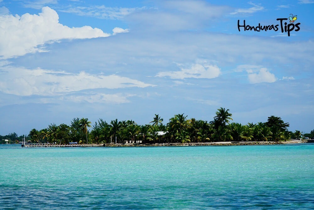 Estas son las playas de aguas cristalinas de Utila; son una maravilla ...