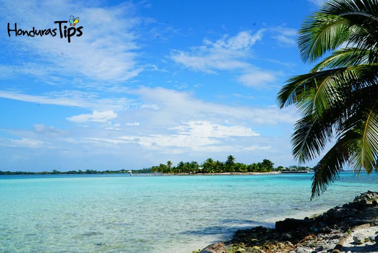 Estas son las playas de aguas cristalinas de Utila; son una maravilla ...