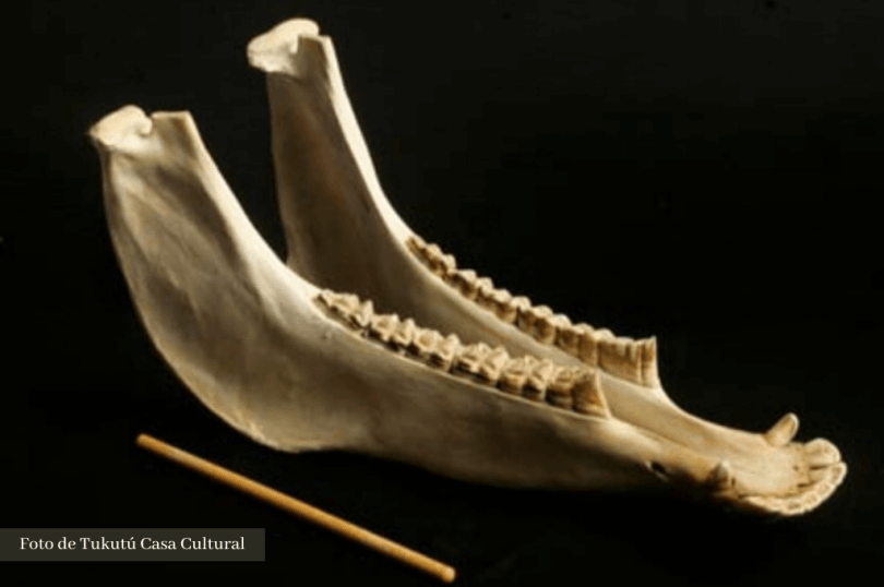 Instrumentos autóctonos importantes de la comunidad garífuna